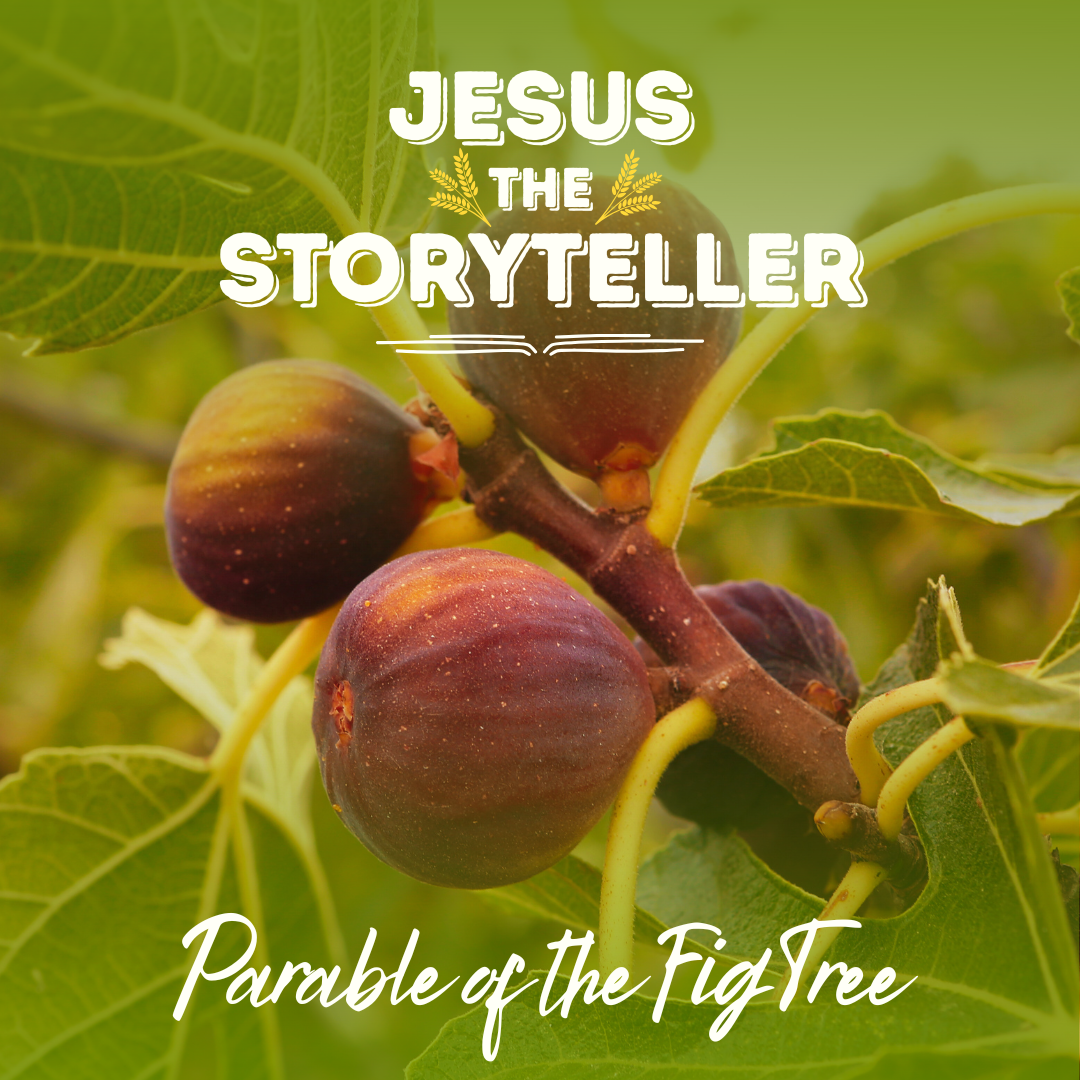 The Parable of the Fig Tree - Parker United Methodist Church